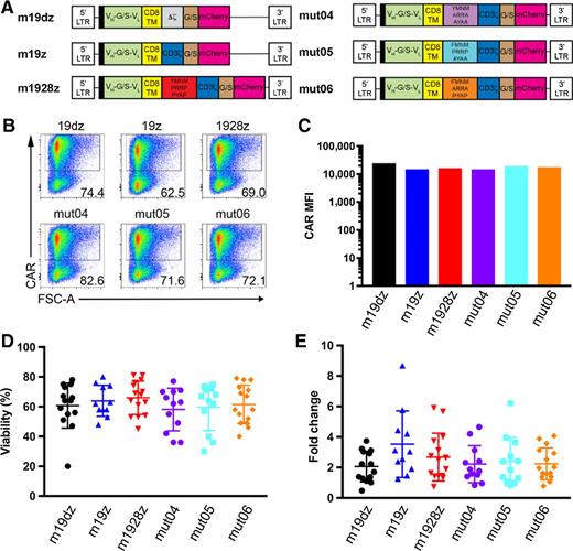 CD28 Costimulatory Domain–Targeted Mutations Enhance Chimeric Antigen ...