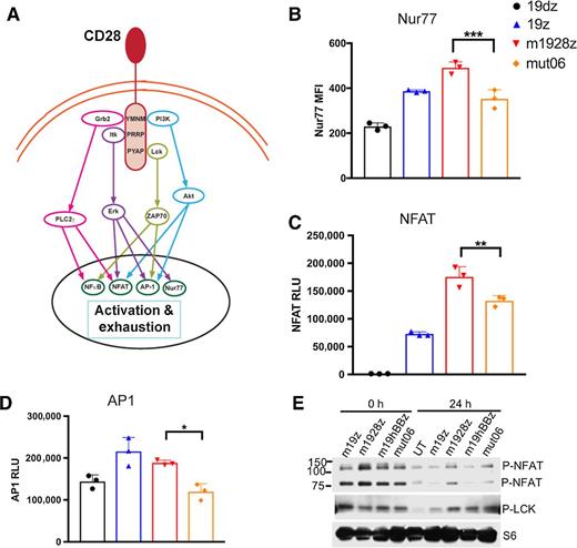 CD28 Costimulatory Domain–Targeted Mutations Enhance Chimeric Antigen ...