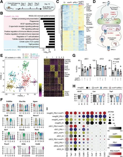 Combining an Alarmin HMGN1 Peptide with PD-L1 Blockade Results in ...