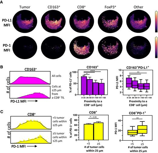 Spatial UMAP and Image Cytometry for Topographic Immuno-oncology ...