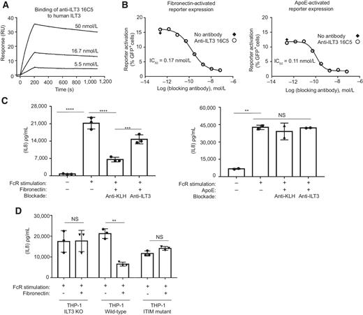 The Fibronectin–ILT3 Interaction Functions as a Stromal Checkpoint that ...
