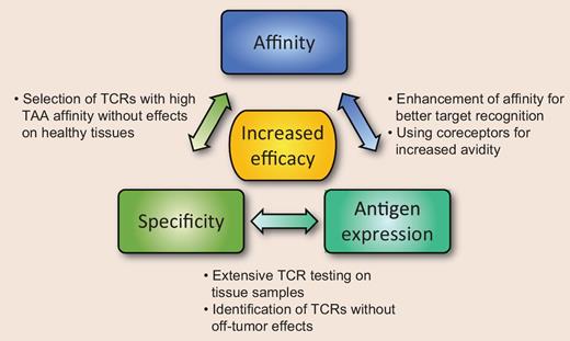 Engineered T-cell Receptor T Cells for Cancer Immunotherapy | Cancer ...