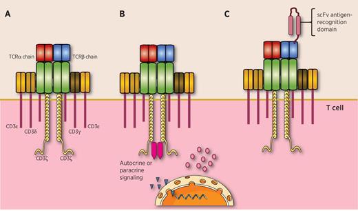 Engineered T-cell Receptor T Cells for Cancer Immunotherapy | Cancer ...