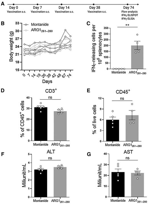 Arginase 1–Based Immune Modulatory Vaccines Induce Anticancer Immunity ...