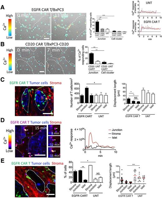 CAR T-cell Entry into Tumor Islets Is a Two-Step Process Dependent on ...