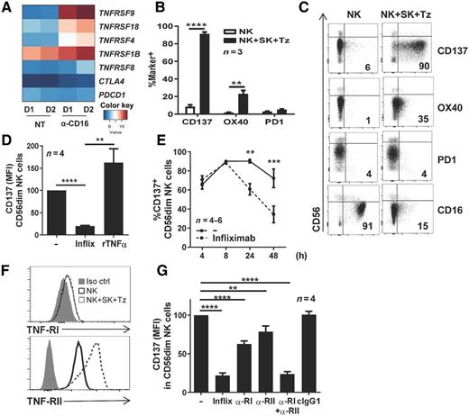 CD137 Costimulation Counteracts TGFβ Inhibition of NK-cell Antitumor ...