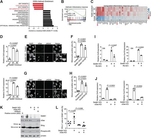 The SETDB1–TRIM28 Complex Suppresses Antitumor Immunity | Cancer ...