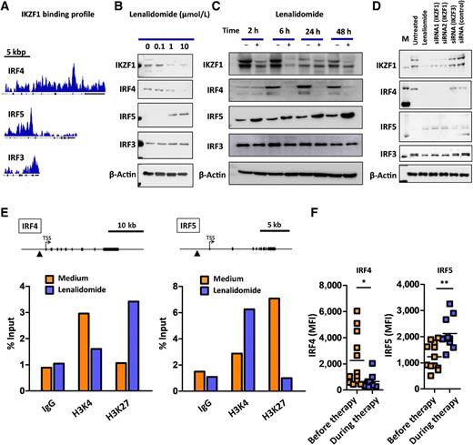 The IKZF1–IRF4/IRF5 Axis Controls Polarization of Myeloma-Associated ...