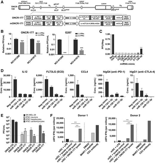 ONCR-177, an Oncolytic HSV-1 Designed to Potently Activate Systemic ...