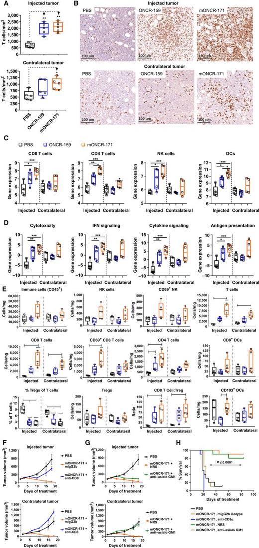 ONCR-177, an Oncolytic HSV-1 Designed to Potently Activate Systemic ...