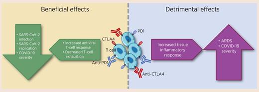 At the Crossroads: COVID-19 and Immune-Checkpoint Blockade for Cancer ...