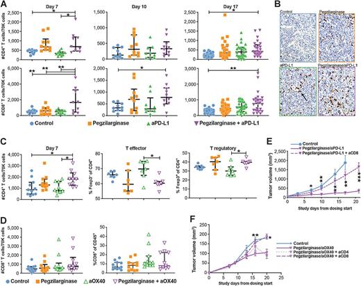 Arginase Therapy Combines Effectively with Immune Checkpoint Blockade ...