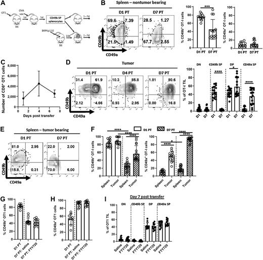 Differential Expression of CD49a and CD49b Determines Localization and ...