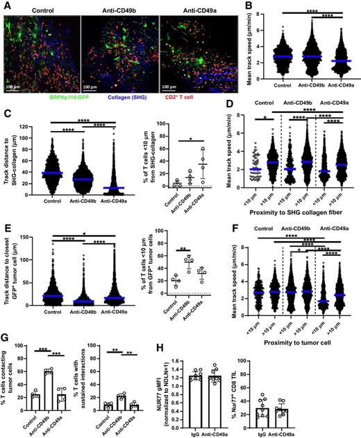 Differential Expression of CD49a and CD49b Determines Localization and ...