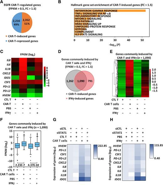 Targeting Triple-Negative Breast Cancer with Combination Therapy of ...