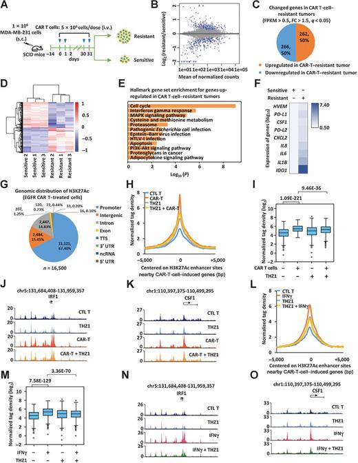 Targeting Triple-Negative Breast Cancer with Combination Therapy of ...