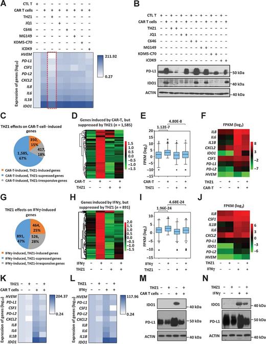 Targeting Triple-Negative Breast Cancer with Combination Therapy of ...