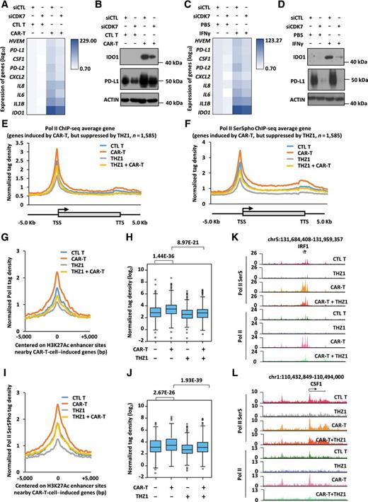 Targeting Triple-Negative Breast Cancer with Combination Therapy of ...