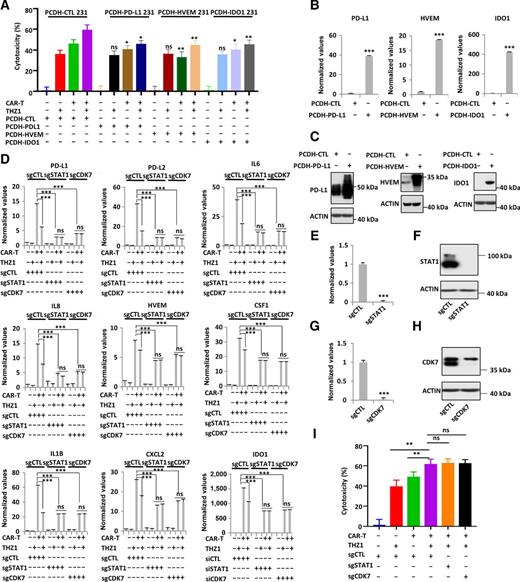 Targeting Triple-Negative Breast Cancer with Combination Therapy of ...