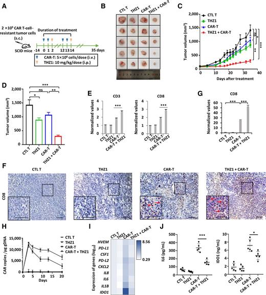 Targeting Triple-Negative Breast Cancer with Combination Therapy of ...
