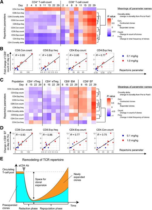 Transient Depletion of CD4+ Cells Induces Remodeling of the TCR ...