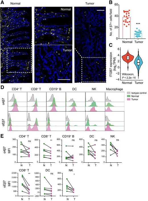 Integrin β7 Inhibits Colorectal Cancer Pathogenesis via Maintaining ...