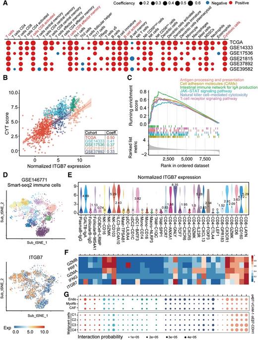 Integrin β7 Inhibits Colorectal Cancer Pathogenesis via Maintaining ...
