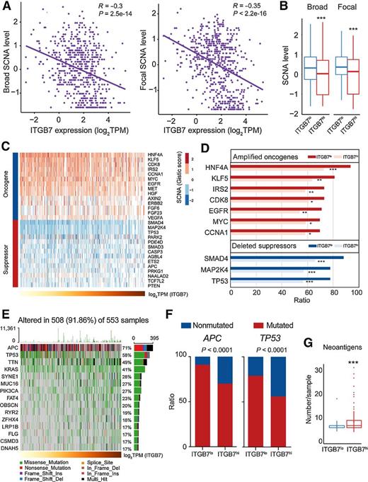 Integrin β7 Inhibits Colorectal Cancer Pathogenesis via Maintaining ...