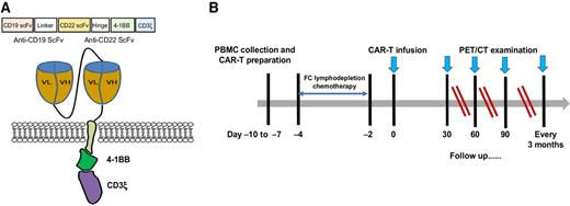 CD19/CD22 Dual-Targeted CAR T-cell Therapy for Relapsed/Refractory Aggressive B-cell Lymphoma: A ...