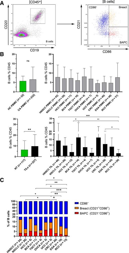 CD86+ Antigen-Presenting B Cells Are Increased in Cancer, Localize in ...