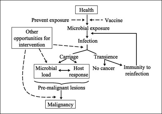 Understanding Microbe-Induced Cancers | Cancer Prevention Research ...