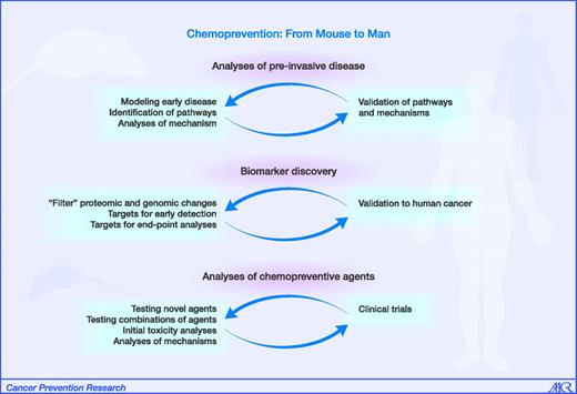 The Untapped Potential of Genetically Engineered Mouse Models in ...
