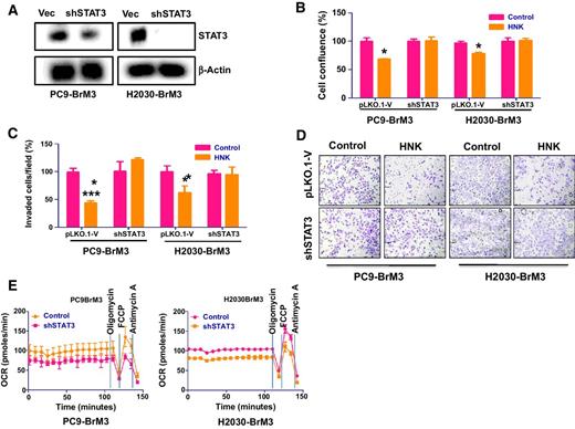 Honokiol Decreases Lung Cancer Metastasis through Inhibition of the ...