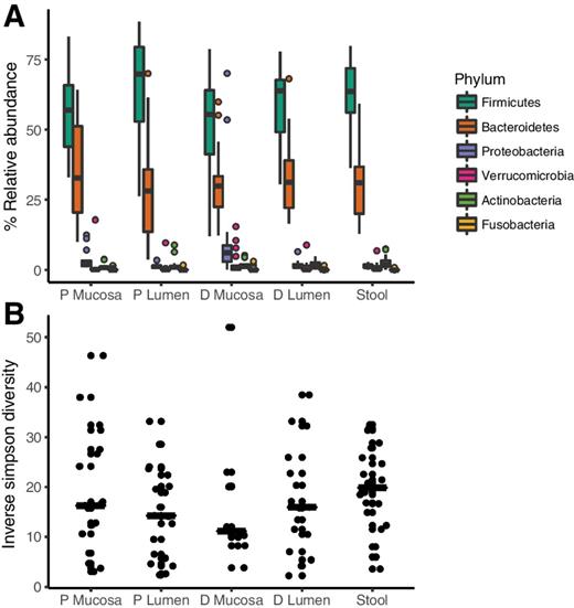 Spatial Variation of the Native Colon Microbiota in Healthy Adults ...