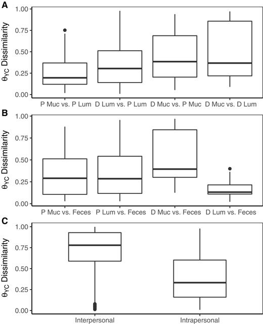 Spatial Variation of the Native Colon Microbiota in Healthy Adults ...