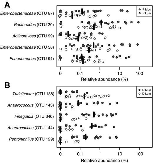 Spatial Variation of the Native Colon Microbiota in Healthy Adults ...