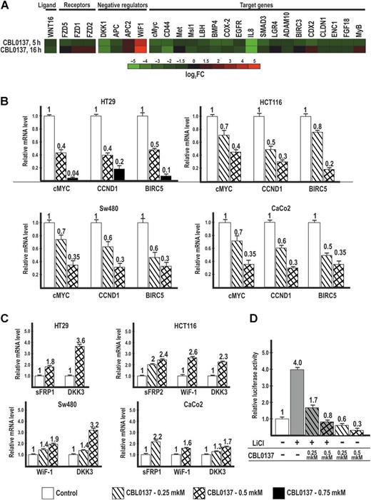 Prevention of Colorectal Carcinogenesis by DNA-Binding Small-Molecule ...
