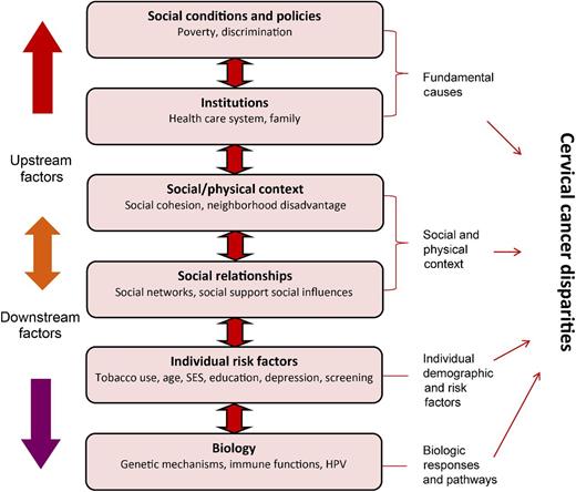 A Multi-level Model to Understand Cervical Cancer Disparities in ...