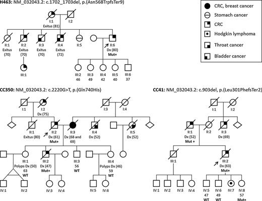 BRIP1, a Gene Potentially Implicated in Familial Colorectal Cancer Type ...
