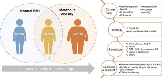 Cancer Risk in Normal Weight Individuals with Metabolic Obesity: A ...