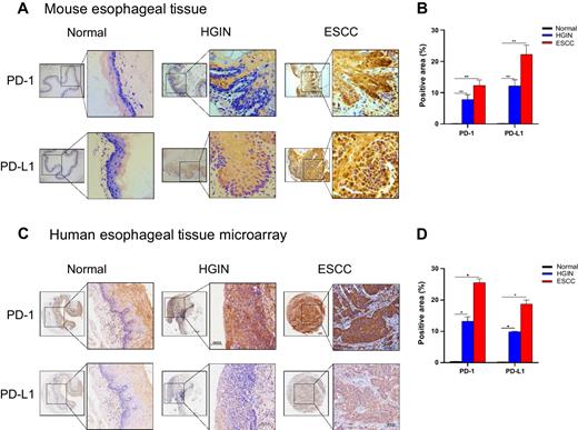 Preventive Treatment with PD-1 Antibody Increases Tissue-resident ...