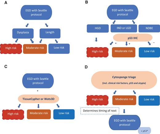 Categorizing Risks within Barrett's Esophagus To Guide Surveillance and ...