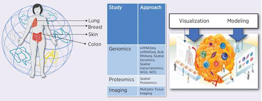 PreCancer Atlas: Present and Future | Cancer Prevention Research ...