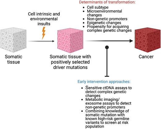 Clonal Evolution in Healthy and Premalignant Tissues: Implications for ...