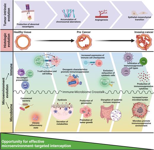 TIME for Bugs: The Immune Microenvironment and Microbes in Precancer ...