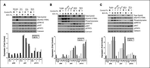 EphA2 in the Early Pathogenesis and Progression of Non–Small Cell Lung ...