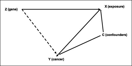 Mendelian Randomization: How It Can—and Cannot—Help Confirm Causal ...