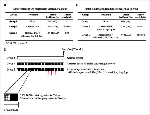 Prevention of Colitis-Associated Carcinogenesis with Infliximab ...
