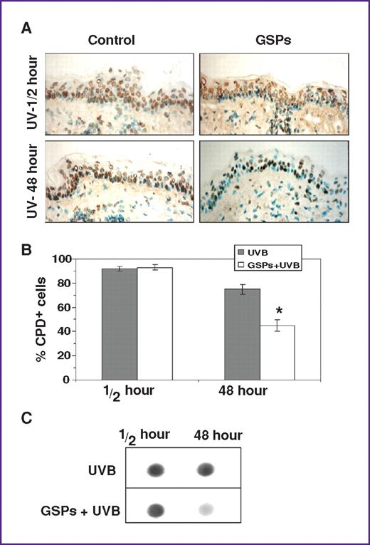 Proanthocyanidins Inhibit Photocarcinogenesis through Enhancement of ...