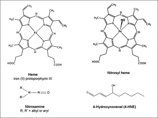 Heme Iron from Meat and Risk of Colorectal Cancer: A Meta-analysis and ...